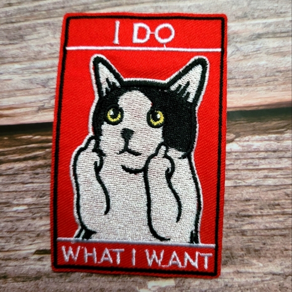 Accessories | Funny I Do What I Want Middle Finger Cat Punk Y2k ...